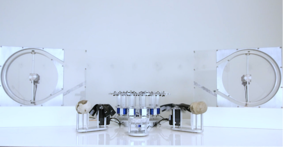 This Uniquely Impressive (and Literal!) "Rock" Band Performs a Beloved ...